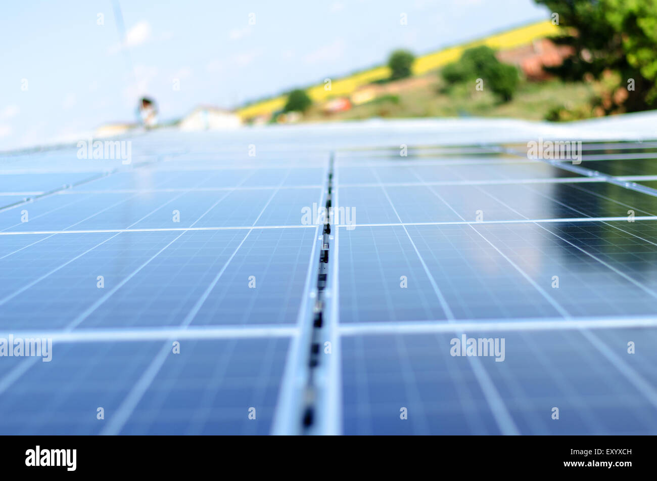 Detail of a photovoltaic panel for renewable electric production Stock ...