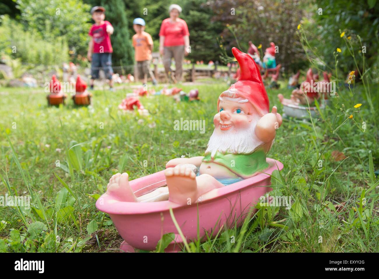 Garden gnomes in a meadow at the Zwergen-Park Trusetal (Gnome Park) in ...