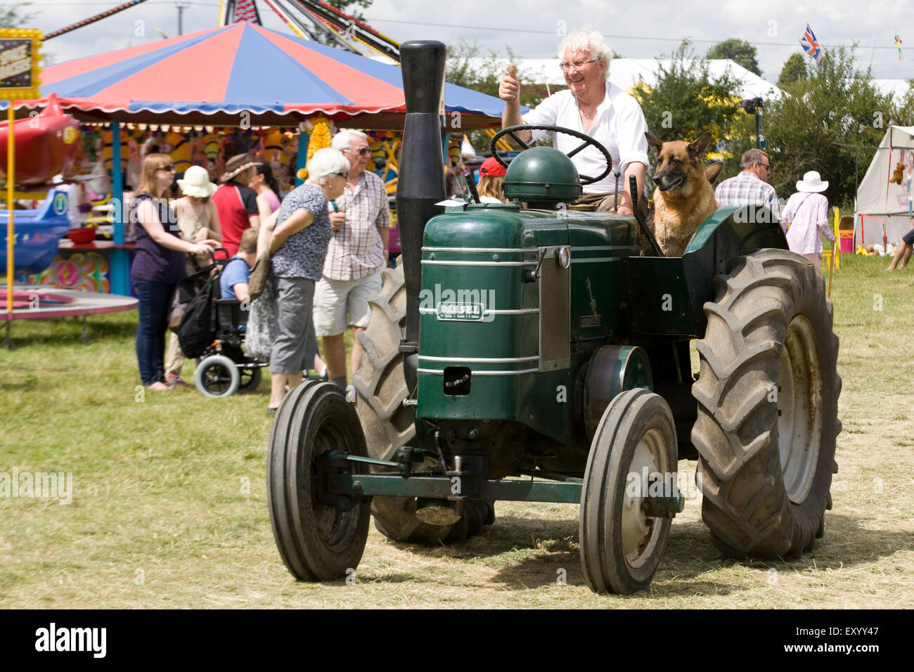 German Shepherd Dogs Having a ride on a tractor Stock Photo - Alamy