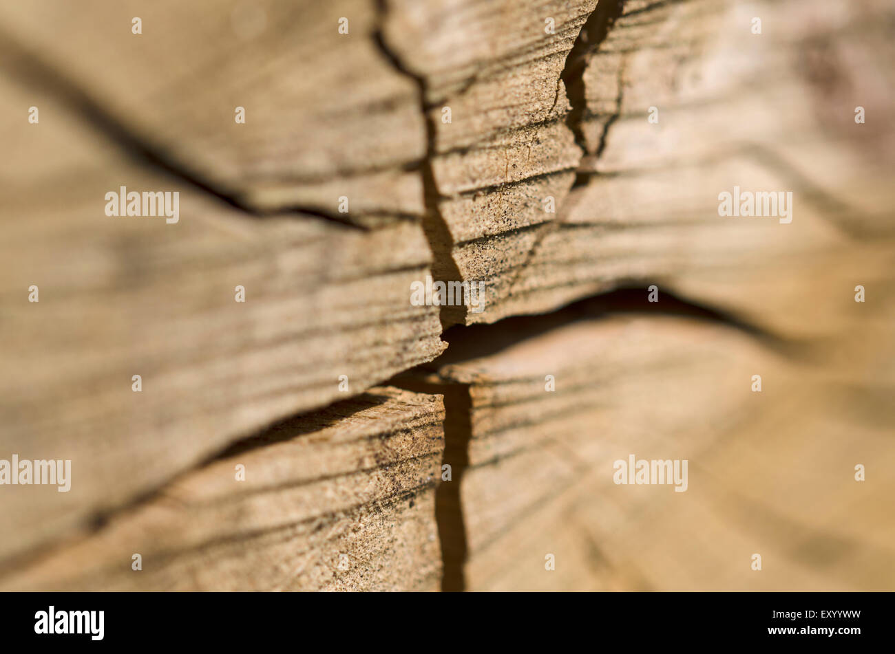 Aged log hi-res stock photography and images - Alamy