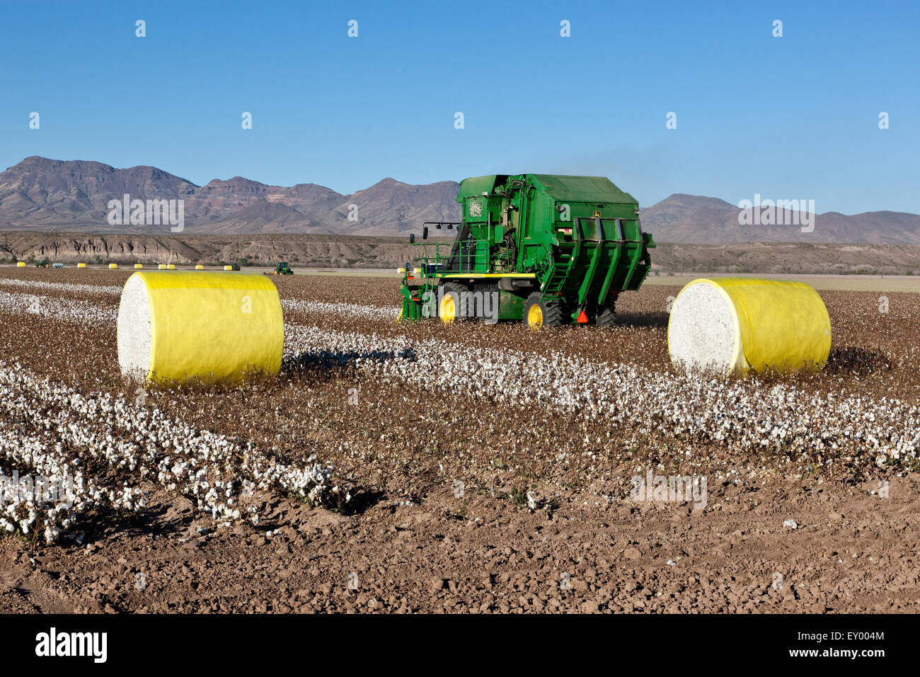 7760 John Deere Cotton Picker with on-board module building harvesting ...