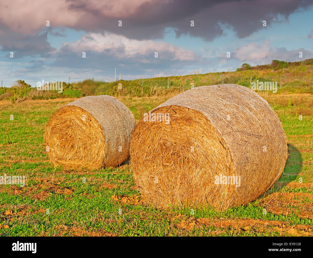 Field straw bales under sunset hi-res stock photography and images - Alamy
