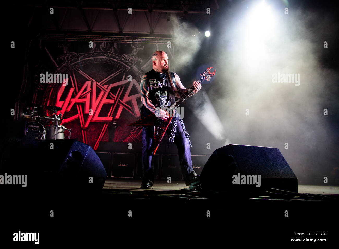 King thrush hi-res stock photography and images - Alamy