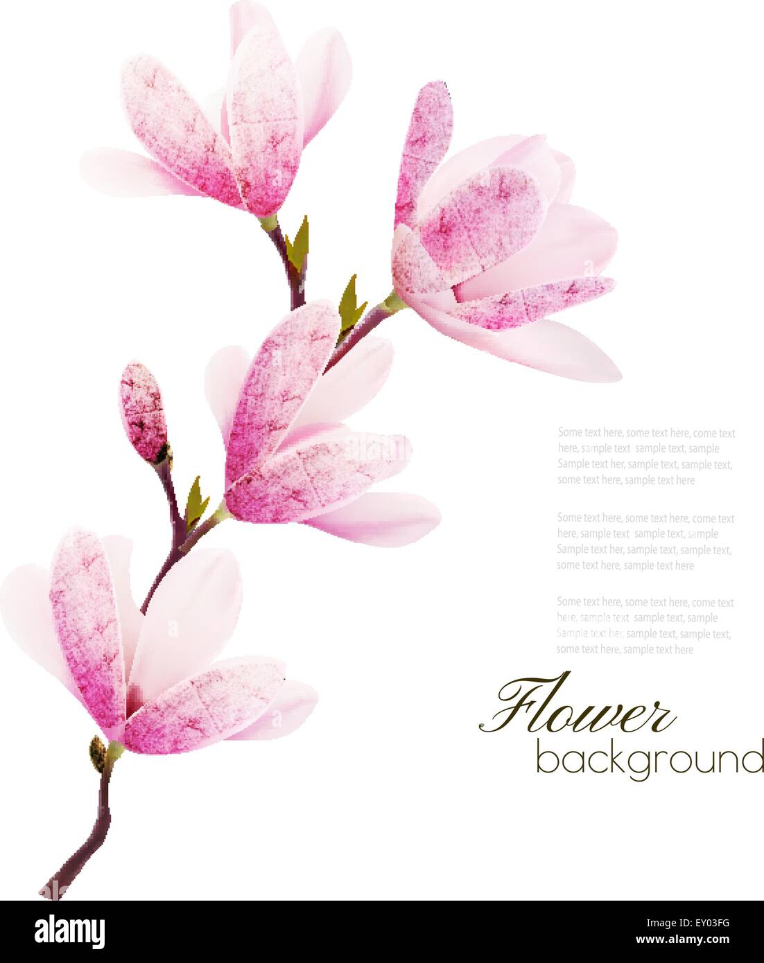 Flower background with blossom branch of pink flowers. Vector Stock ...