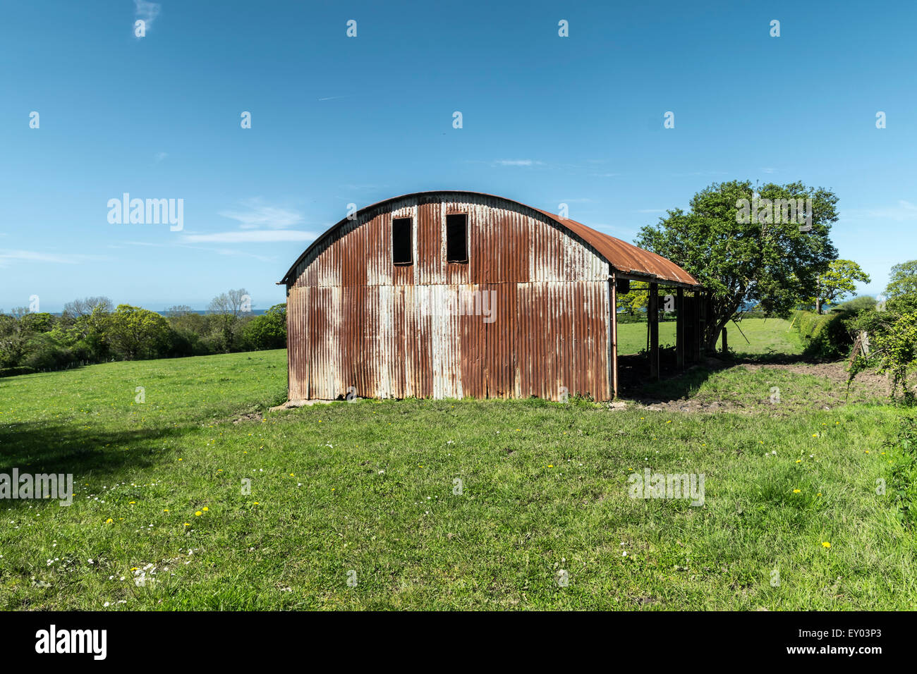 A rusting Tin corrugated hay barn in the countryside Stock Photo - Alamy