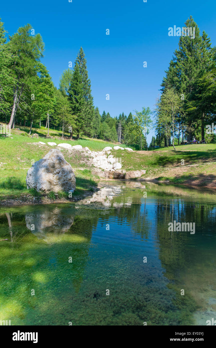 Beautiful Ponds In The Woods