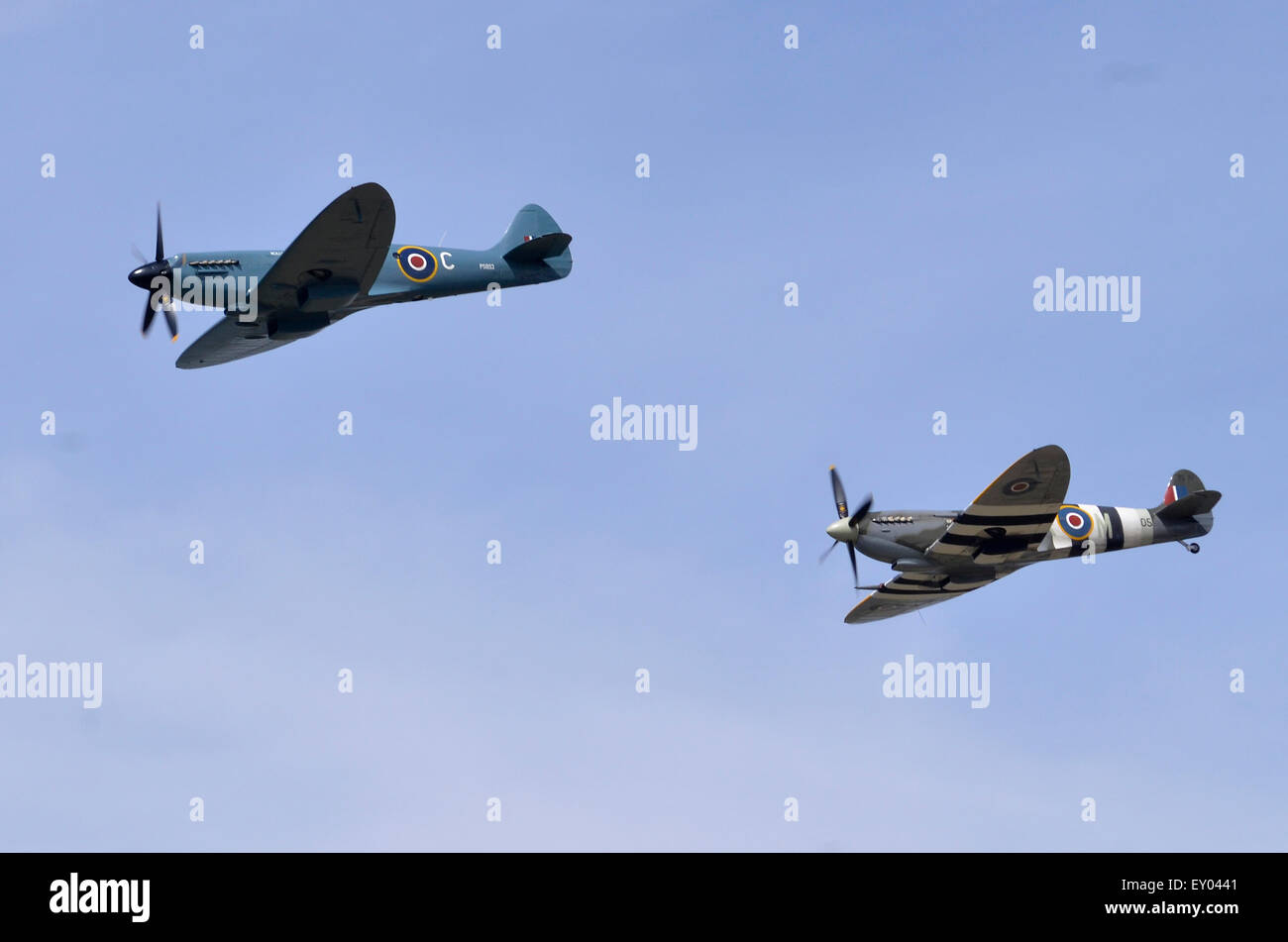 Spitfires High Resolution Stock Photography and Images - Alamy