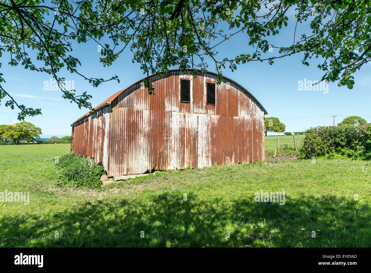 A rusting Tin corrugated hay barn in the countryside Stock Photo - Alamy