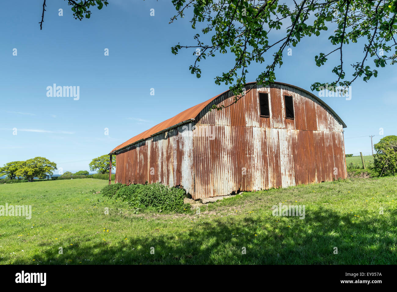 A rusting Tin corrugated hay barn in the countryside Stock Photo - Alamy