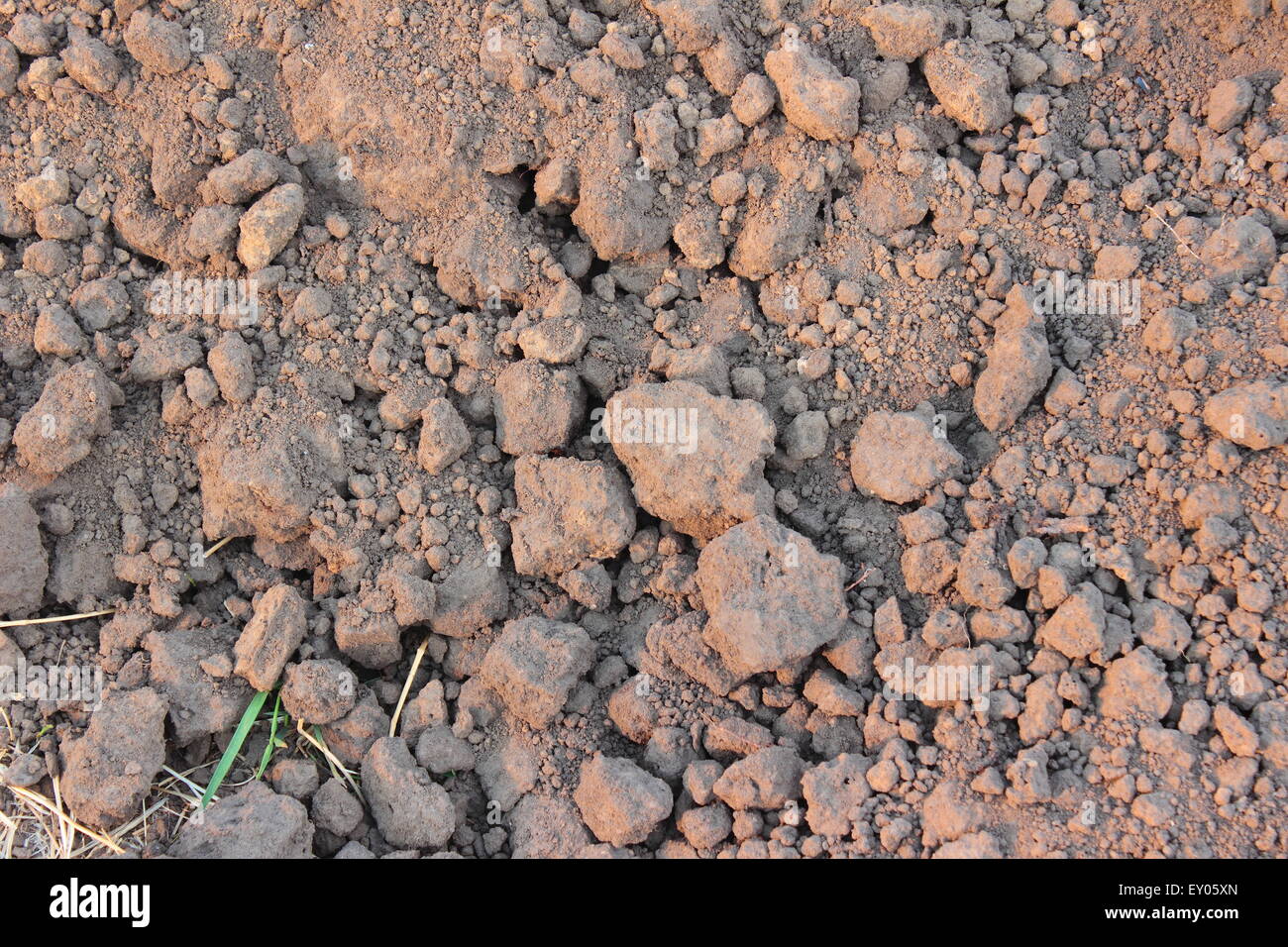 loose earth with stones illuminated sun Stock Photo - Alamy