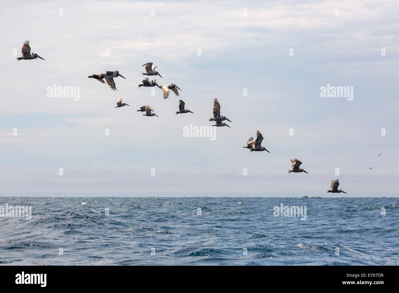 American squadron sea hi-res stock photography and images - Alamy