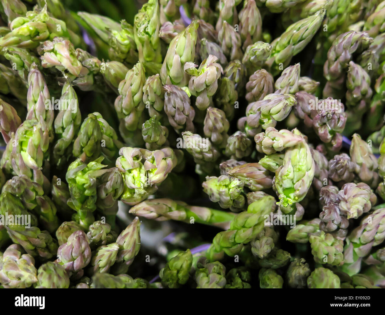Asparagus, The produce Section, The Fresh Market in Tampa, Florida ...