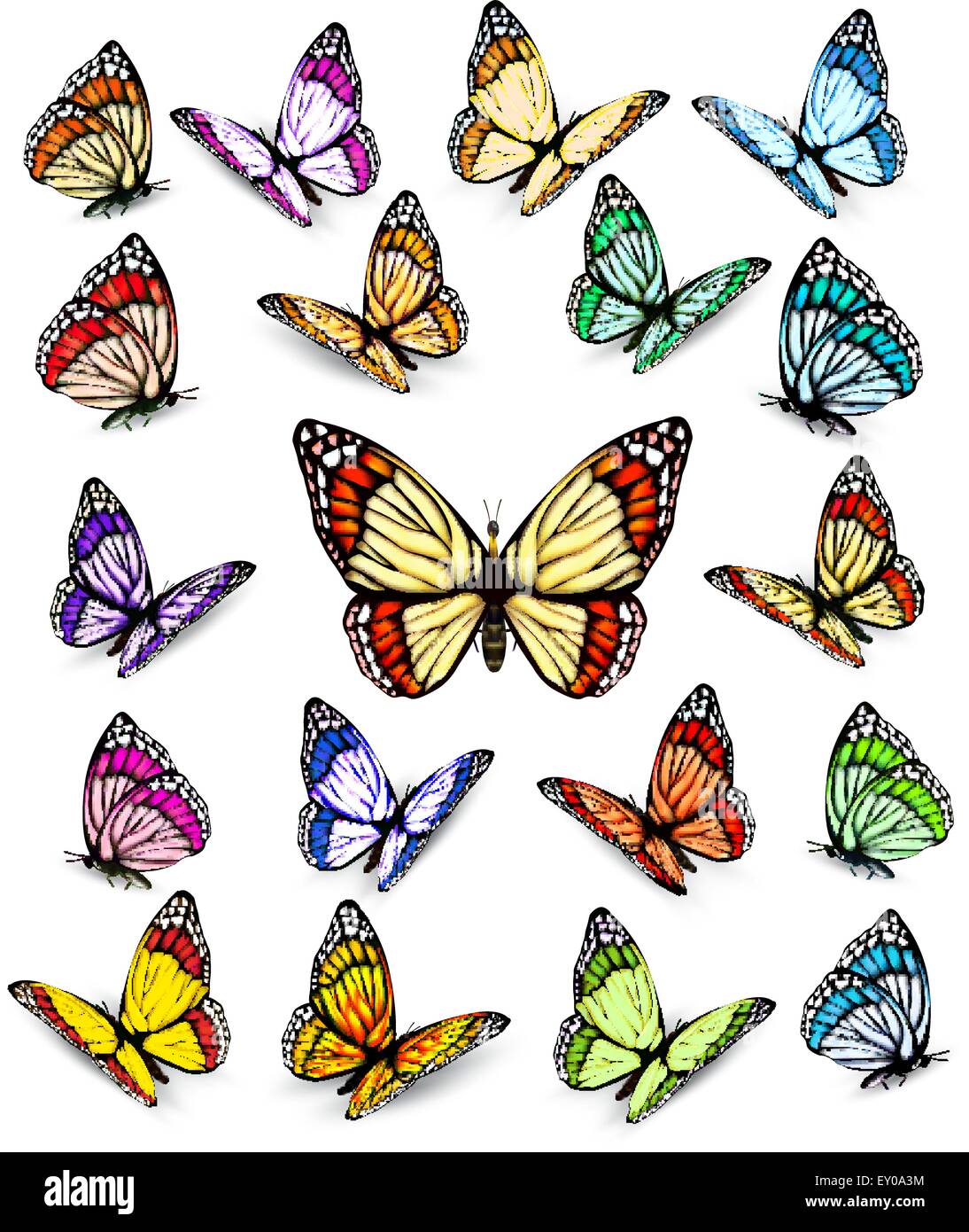 Set of different colorful butterflies. Vector Stock Vector Image & Art ...