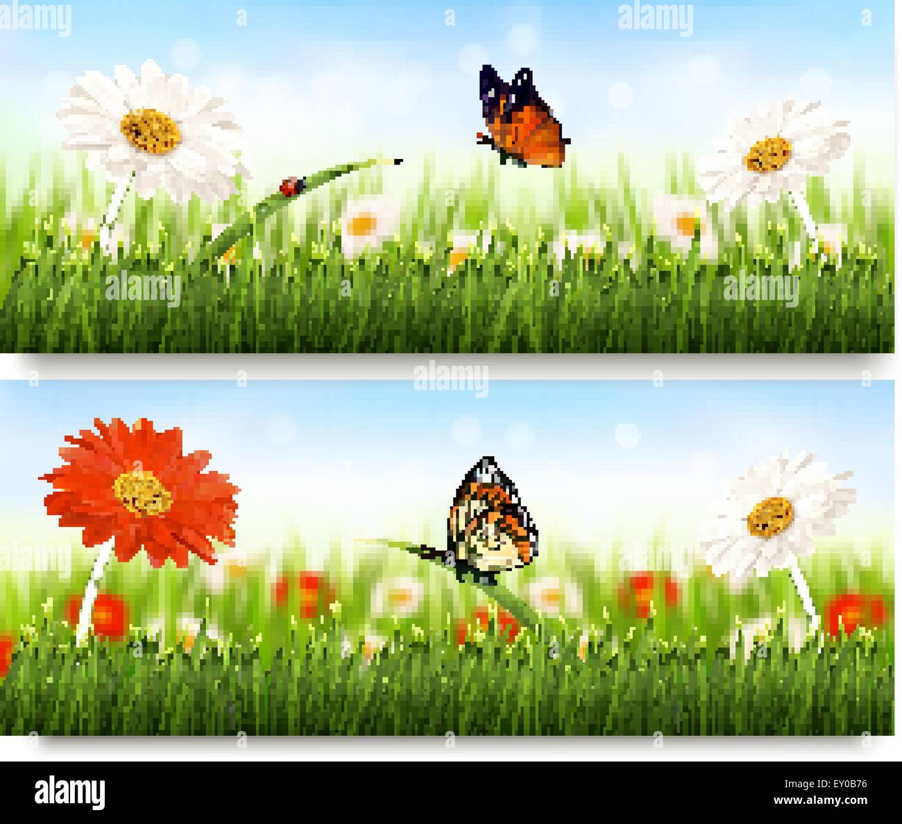 Summer nature banners with colorful flowers and butterfly. Vector Stock ...