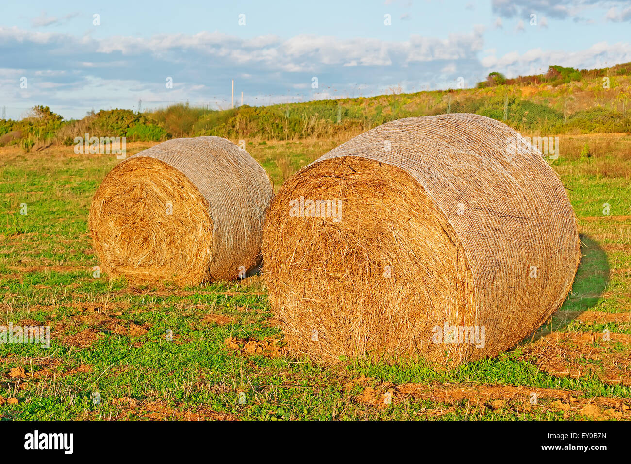 Two hay bales hi-res stock photography and images - Alamy