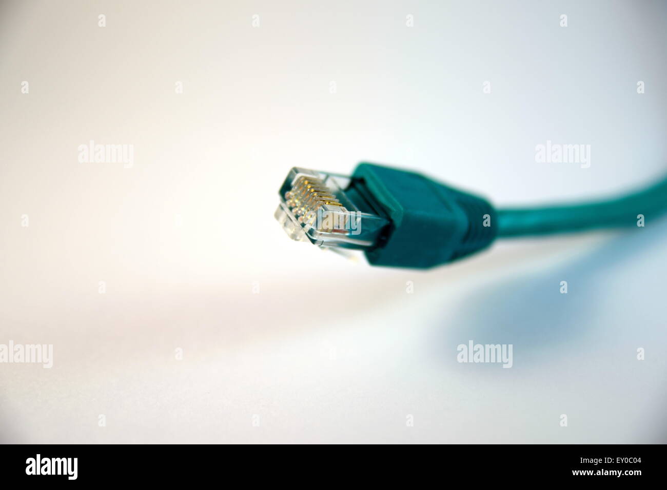 Close-up Network Cable on White Background Stock Photo - Alamy