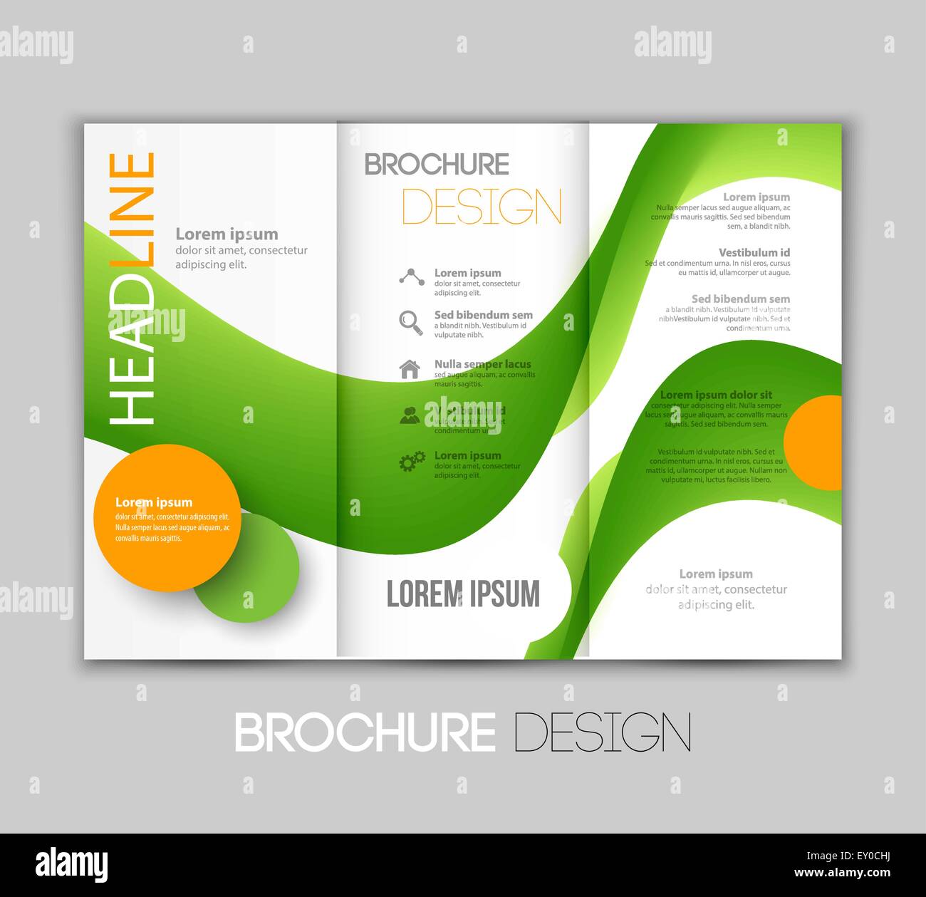 Vector illustration template leaflet design with color lines Stock ...