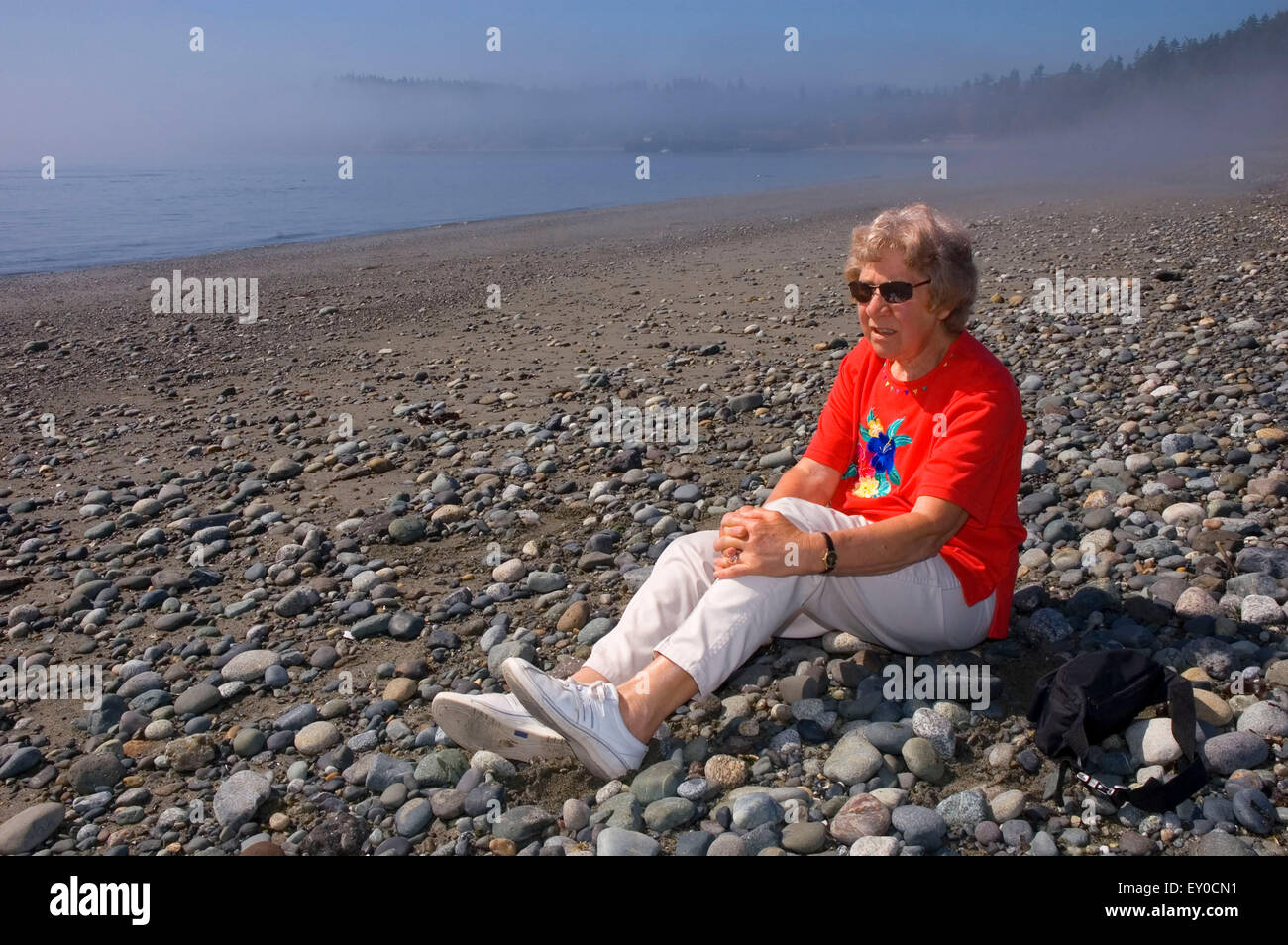 Beach on Admiralty Inlet, Fort Worden State Park, Washington Stock ...