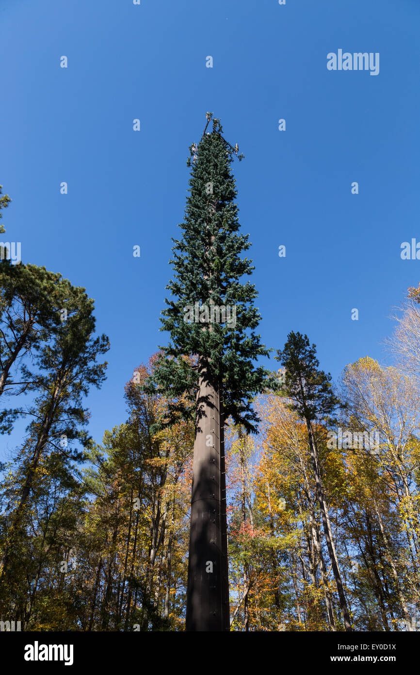 Cell tower disguised as tree hi-res stock photography and images - Alamy