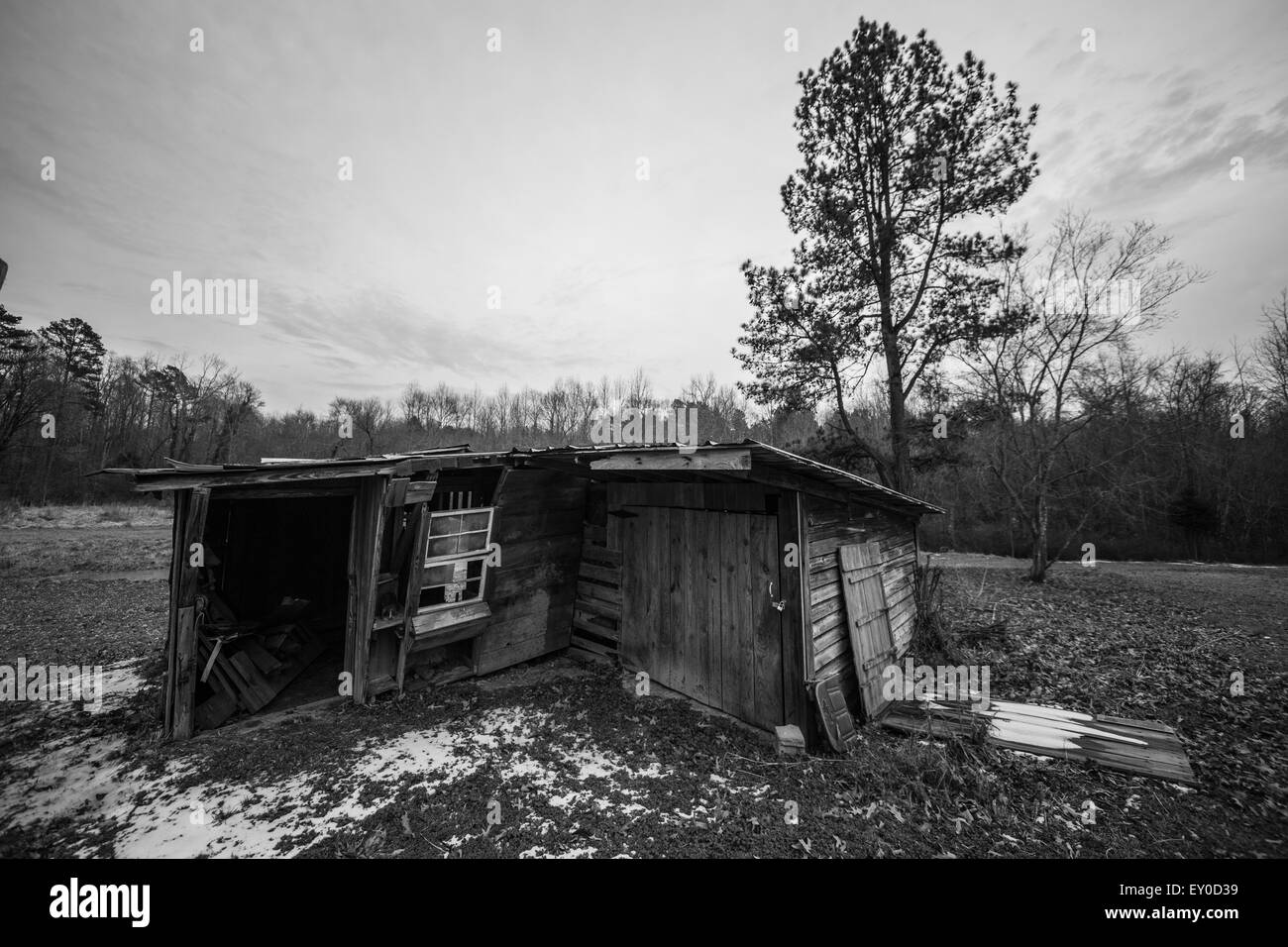 Livestock run Black and White Stock Photos & Images - Alamy