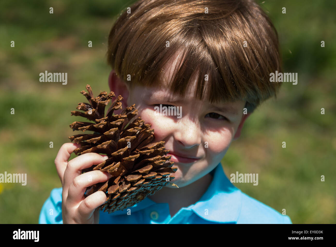 Little boy with pine cone Stock Photo - Alamy