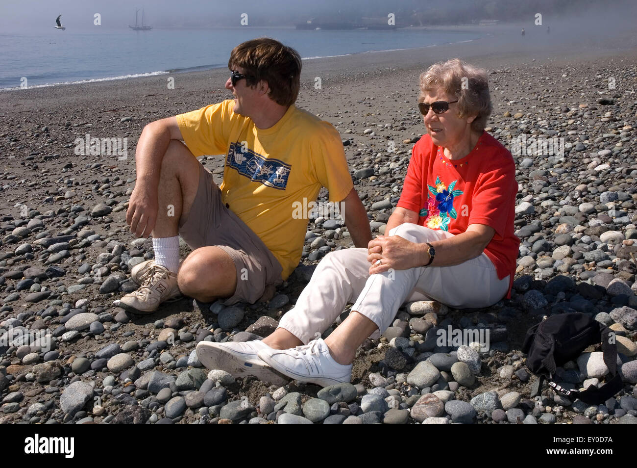 Beach on Admiralty Inlet, Fort Worden State Park, Washington Stock ...