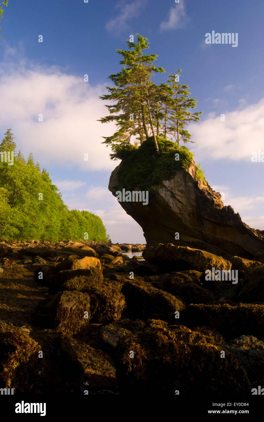 Shipwreck point natural area preserve hi-res stock photography and ...