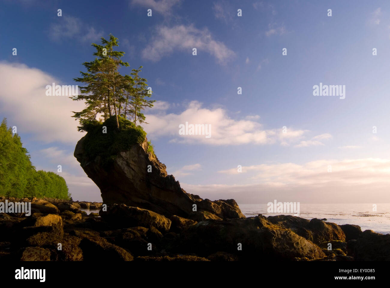 Seastack, Shipwreck Point Natural Area Preserve, Washington Stock Photo ...