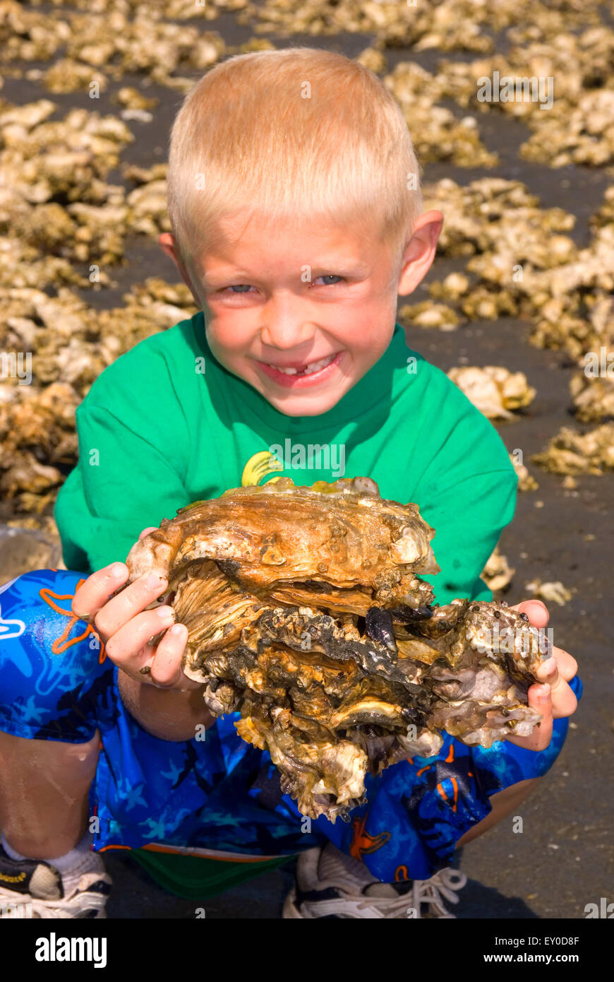 Oystering boy, Duckabush Wildlife Area, Washington Stock Photo - Alamy