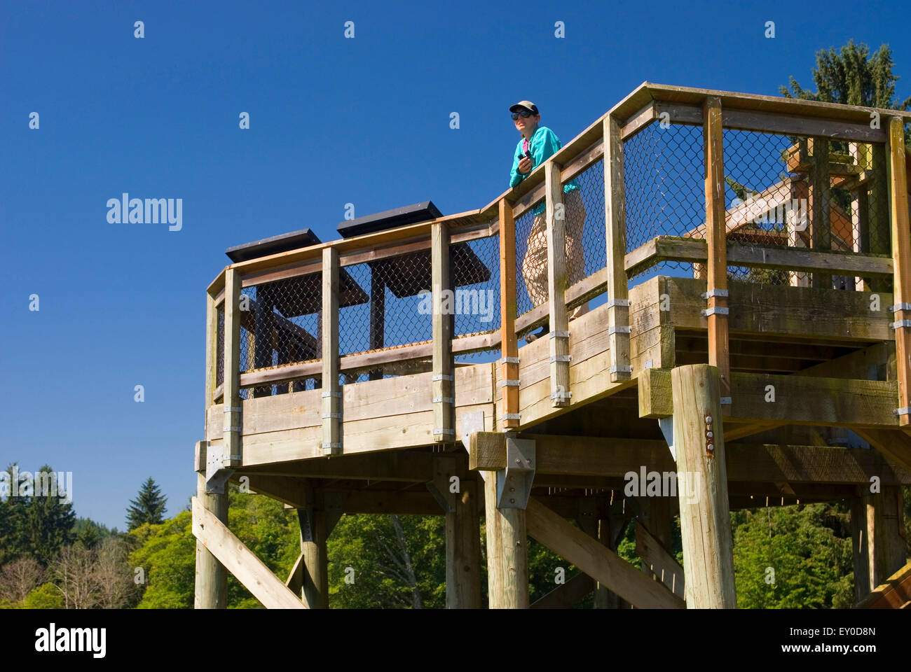 Observation deck, Dosewallips State Park, Washington Stock Photo - Alamy