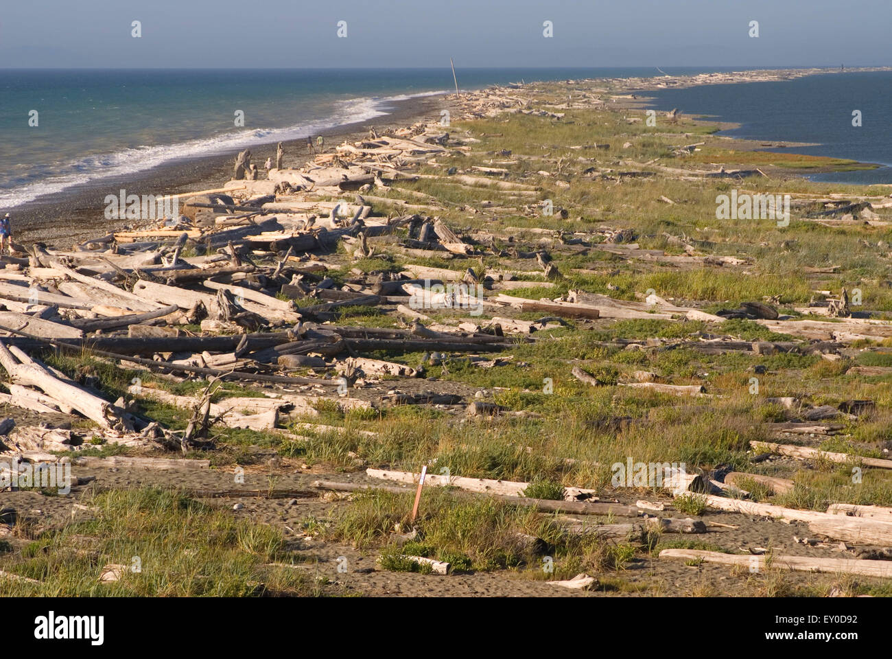 Dungeness Spit from Overlook, Dungeness National Wildlife Refuge ...