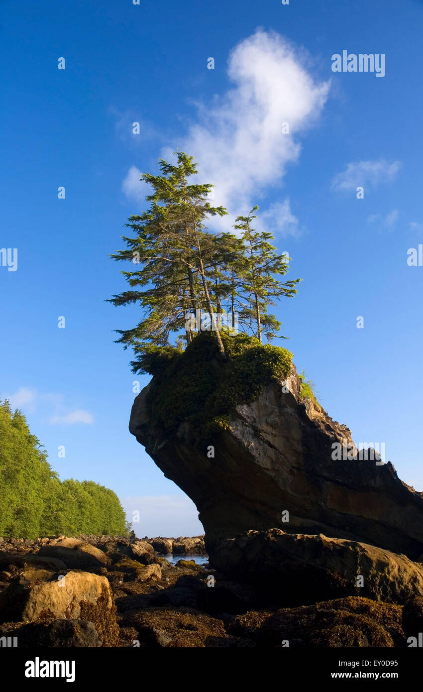 Seastack, Shipwreck Point Natural Area Preserve, Clallam County ...