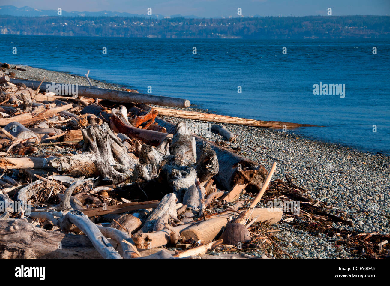 Beach on Admiralty Inlet, Fort Flagler State Park, Washington Stock ...
