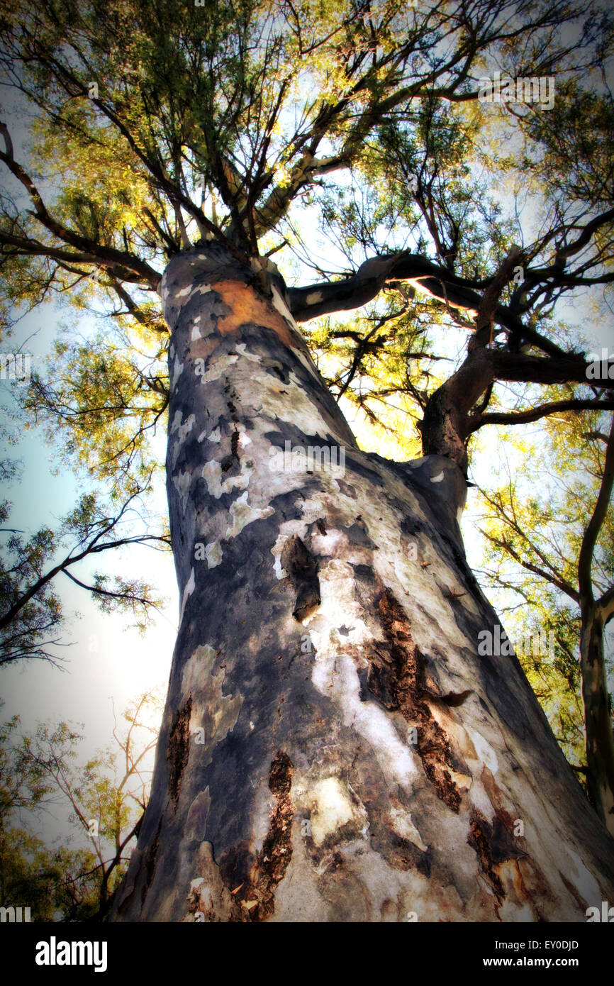 Hd large picture hi-res stock photography and images - Alamy