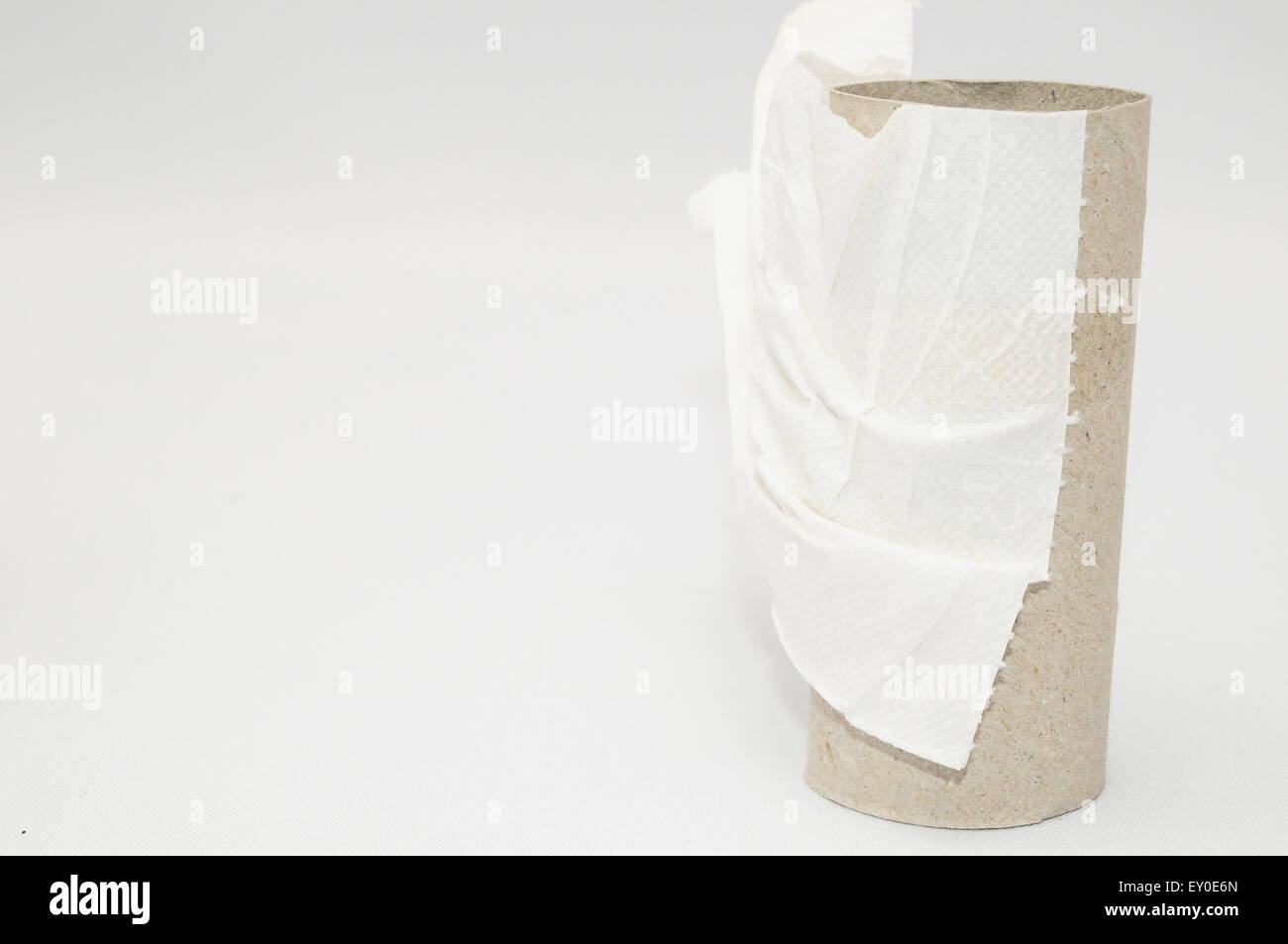 Empty Toilet Paper Roll Stock Photo - Alamy