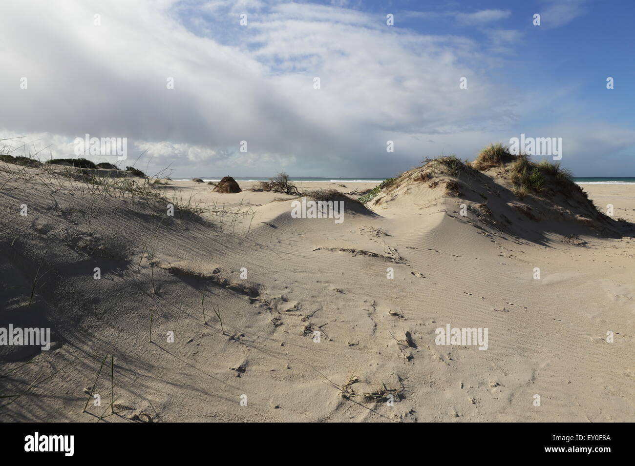Struisbaai beach hi-res stock photography and images - Alamy