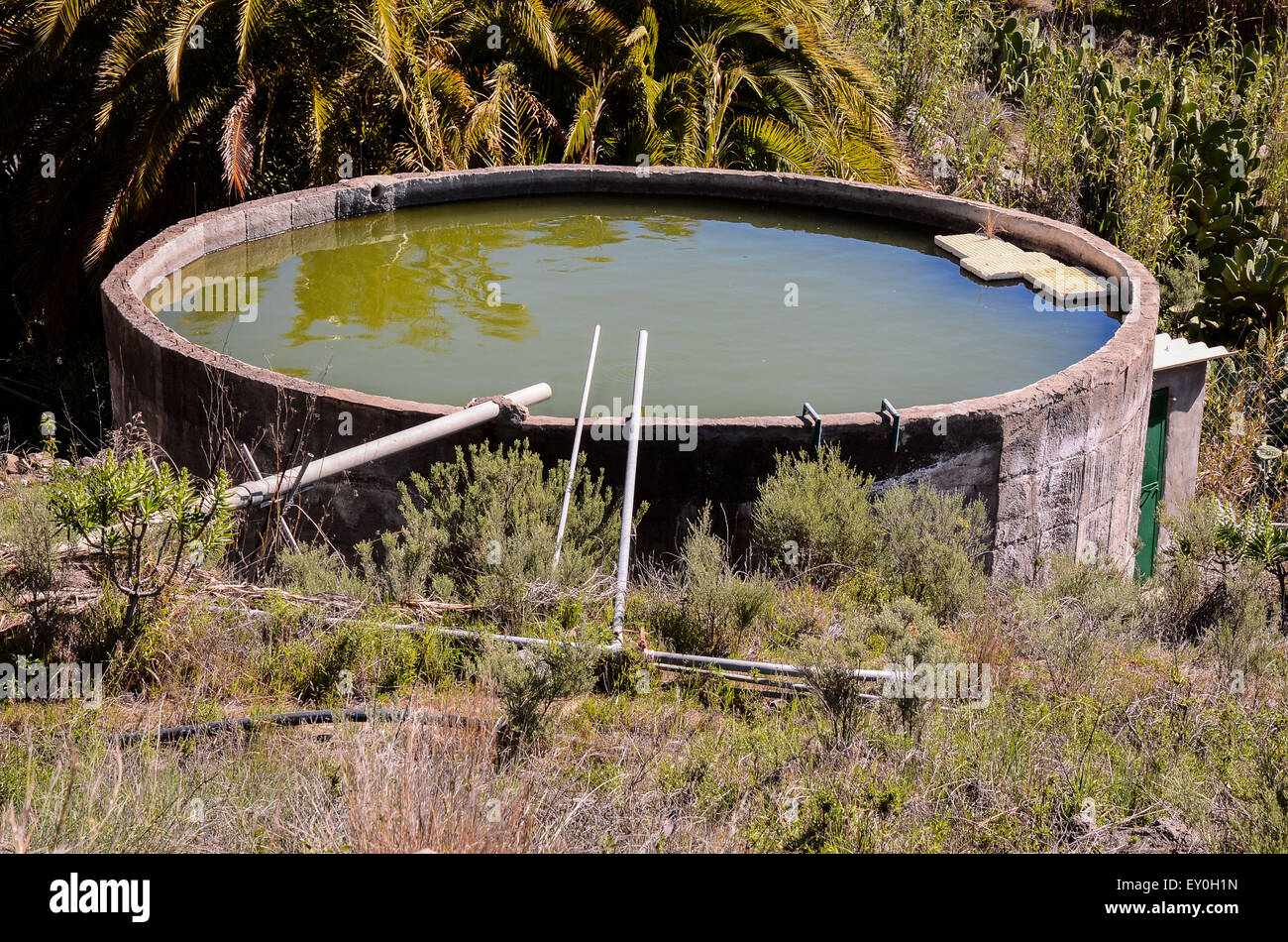 Round Water Pond Stock Photo - Alamy