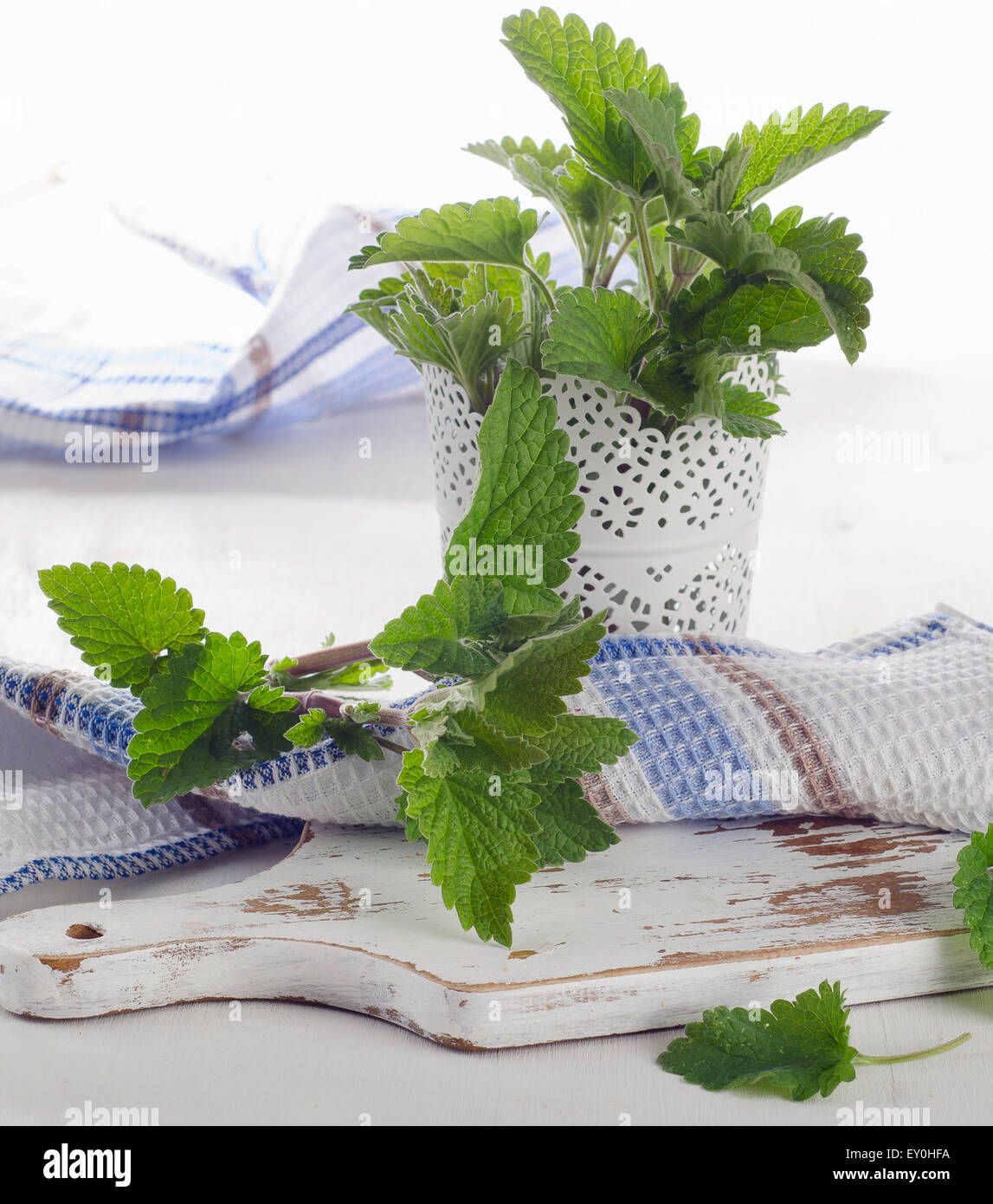 Fresh mint leaves on white wooden board Stock Photo - Alamy