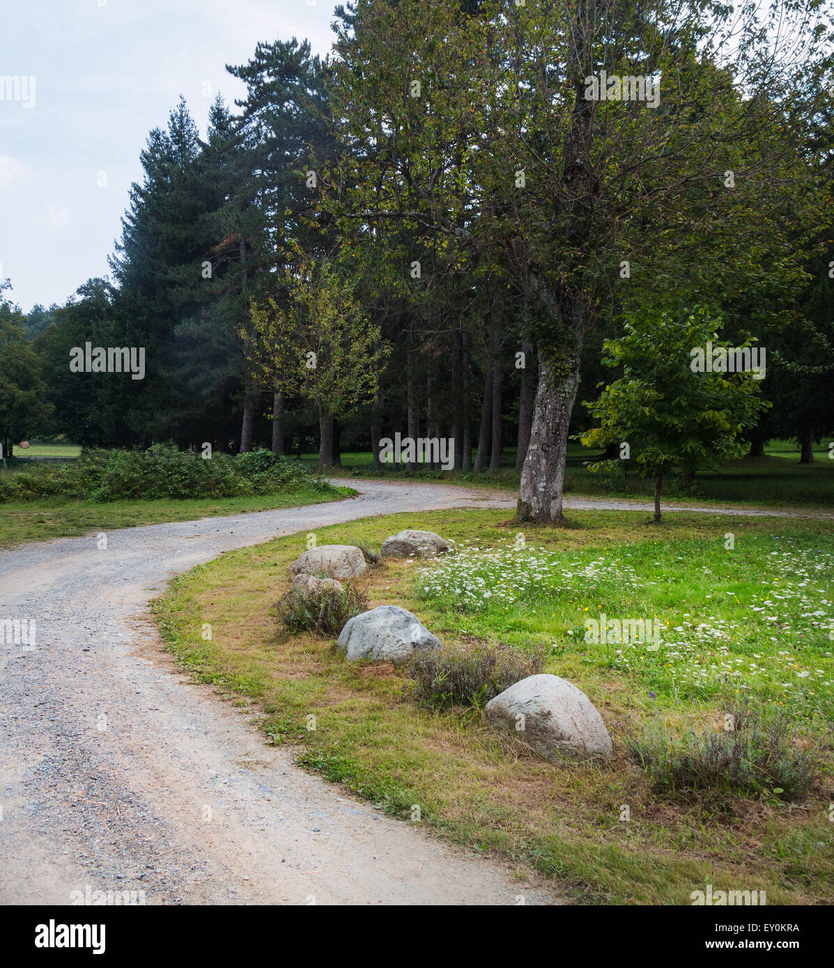Pathway road hi-res stock photography and images - Alamy