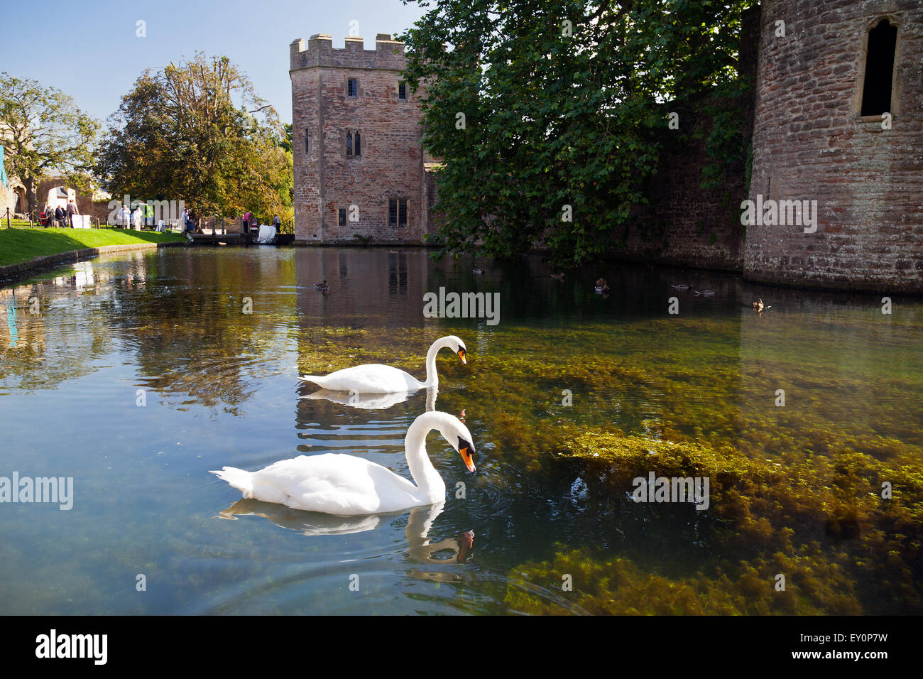 Moat In Bishops Palace High Resolution Stock Photography and Images - Alamy