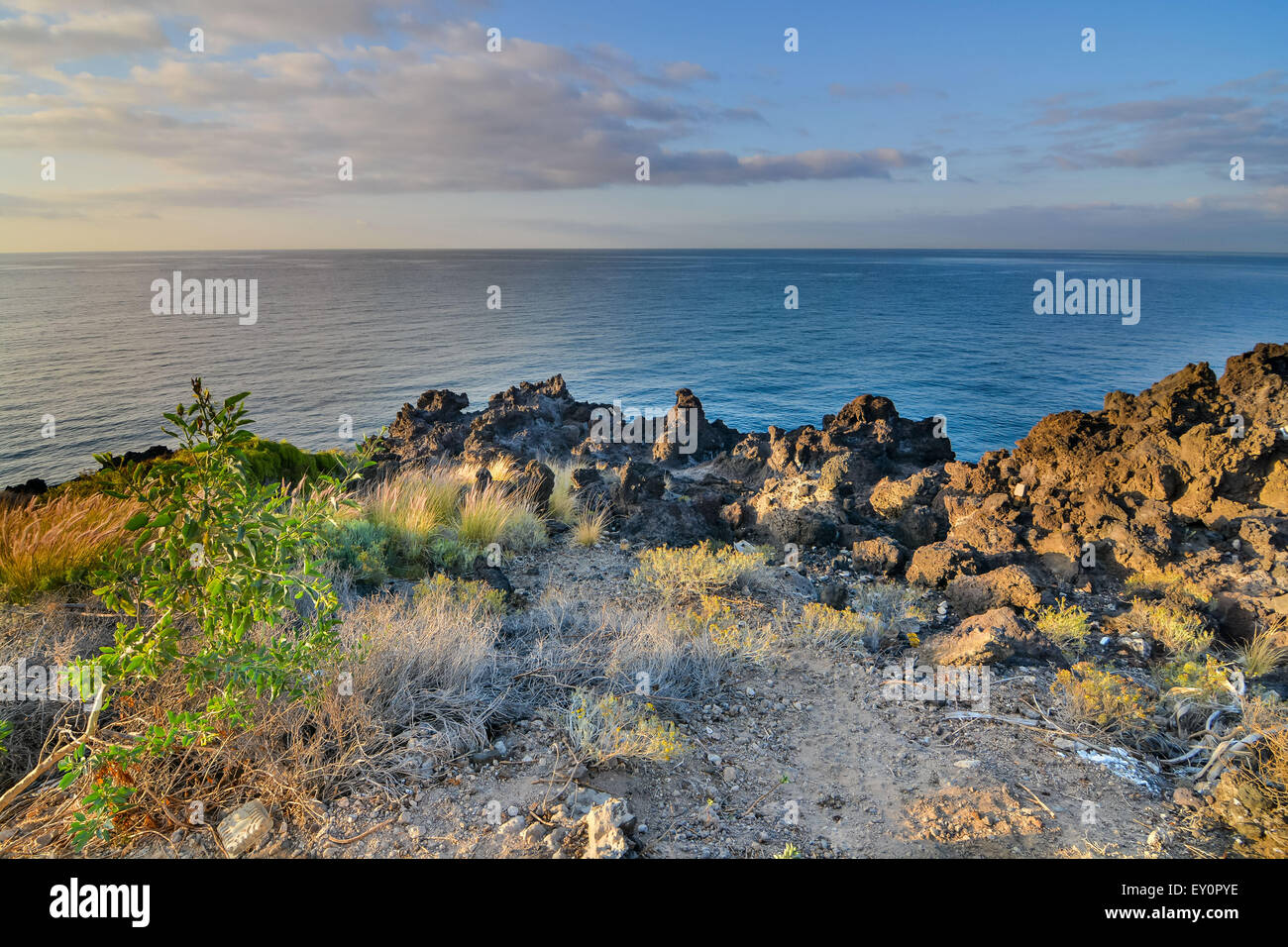 Dry Lava Coast Beach Stock Photo - Alamy