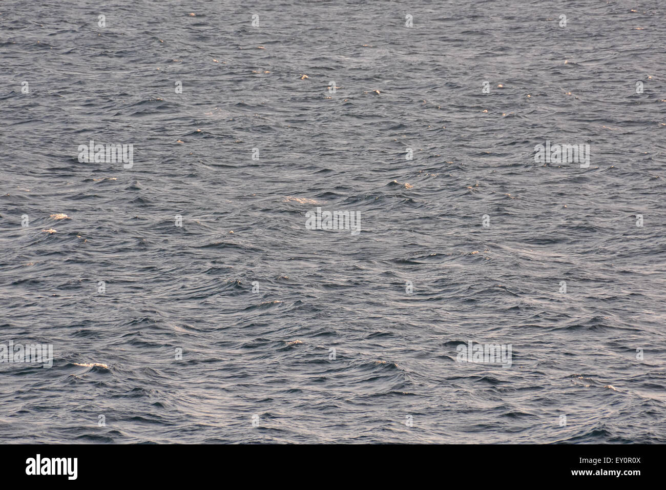 Detailed Texture Of Sea Water Stock Photo - Alamy