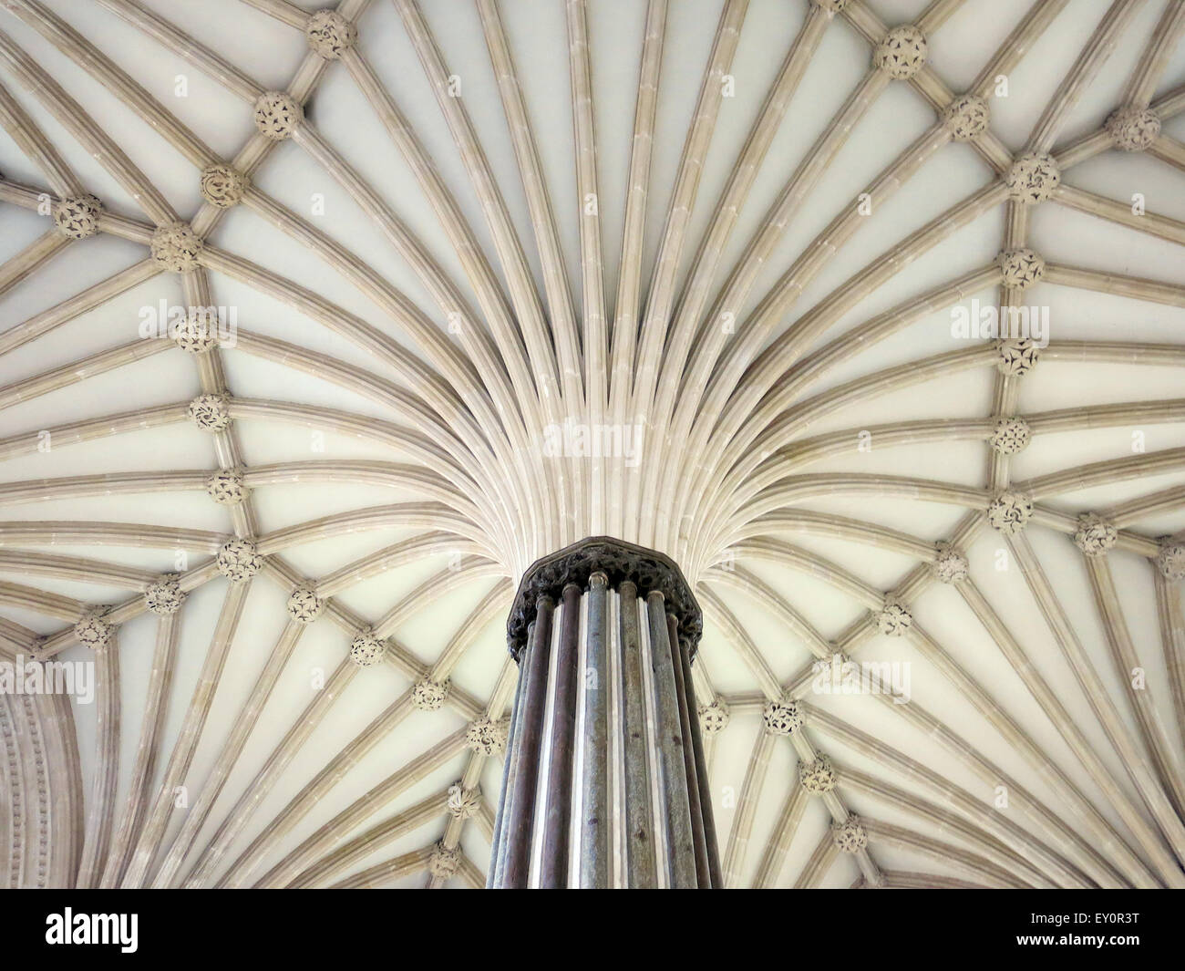 Fan vaulted hi-res stock photography and images - Alamy