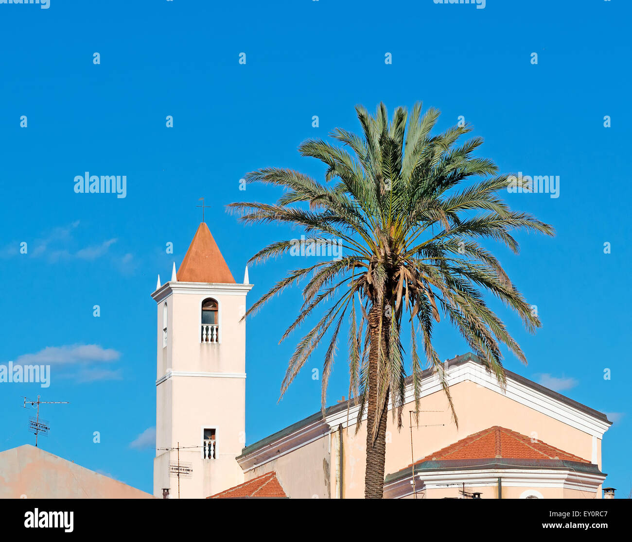 Tall palm tree bell hi-res stock photography and images - Alamy