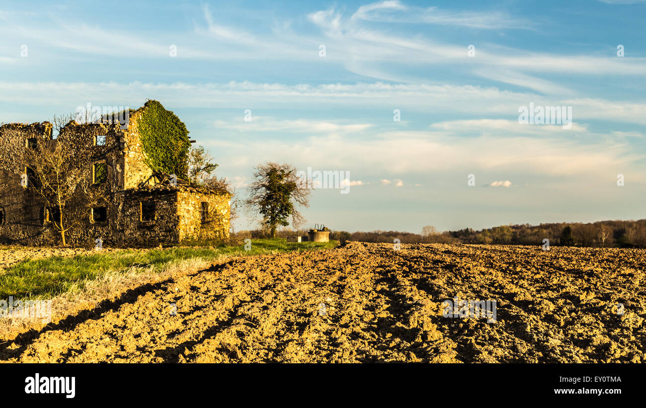 an abandoned and ruined farm in the fields of Italy Stock Photo - Alamy