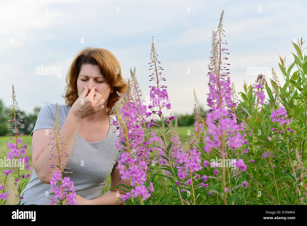 Allergic rhinitis hi-res stock photography and images - Alamy
