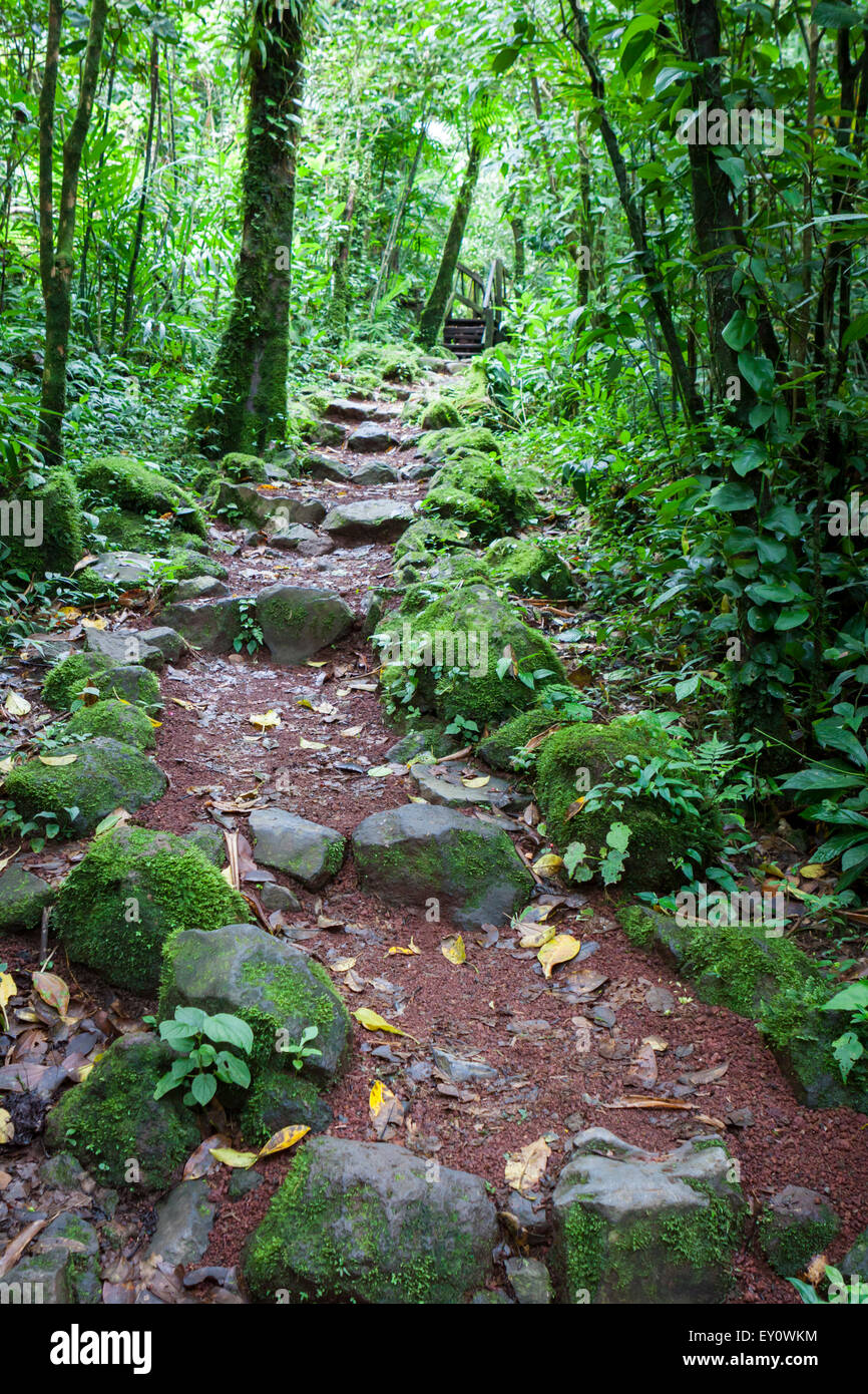 Triguillo Trail at Mombacho Volcano Natural Park, Nicaragua Stock Photo ...