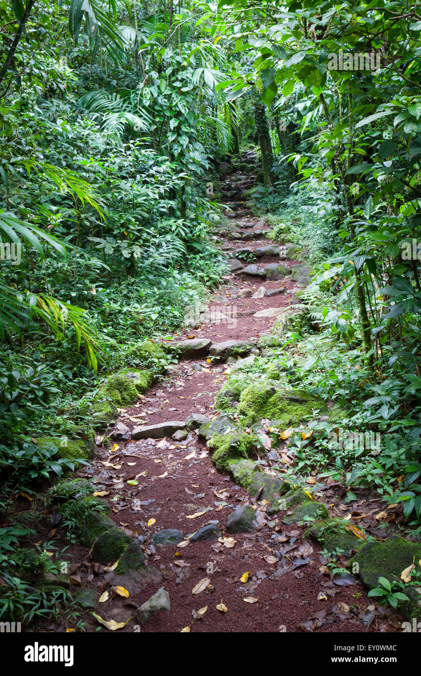 Triguillo Trail at Mombacho Volcano Natural Park, Nicaragua Stock Photo ...