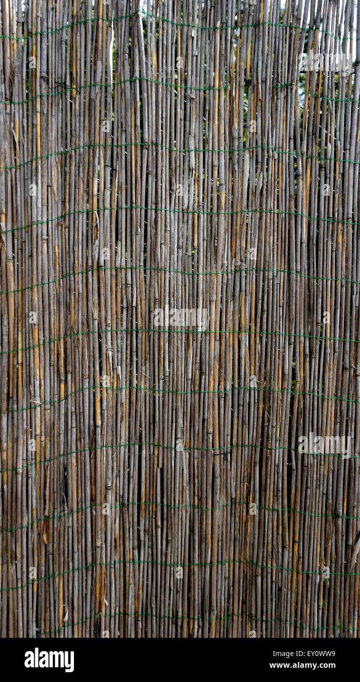 Bamboo wall fence vertical Stock Photo - Alamy