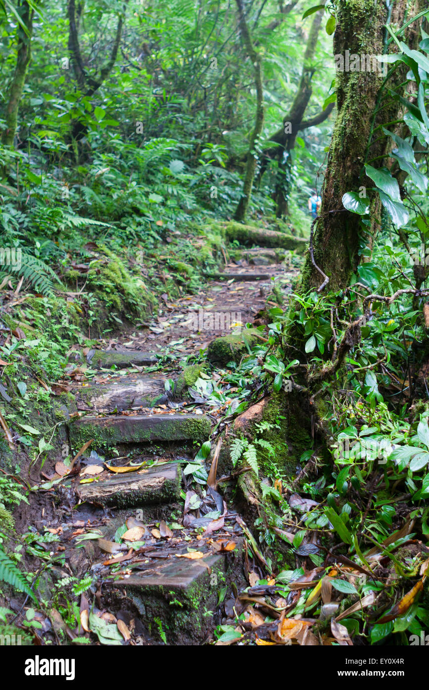 Triguillo Trail at Mombacho Volcano Natural Park, Nicaragua Stock Photo ...